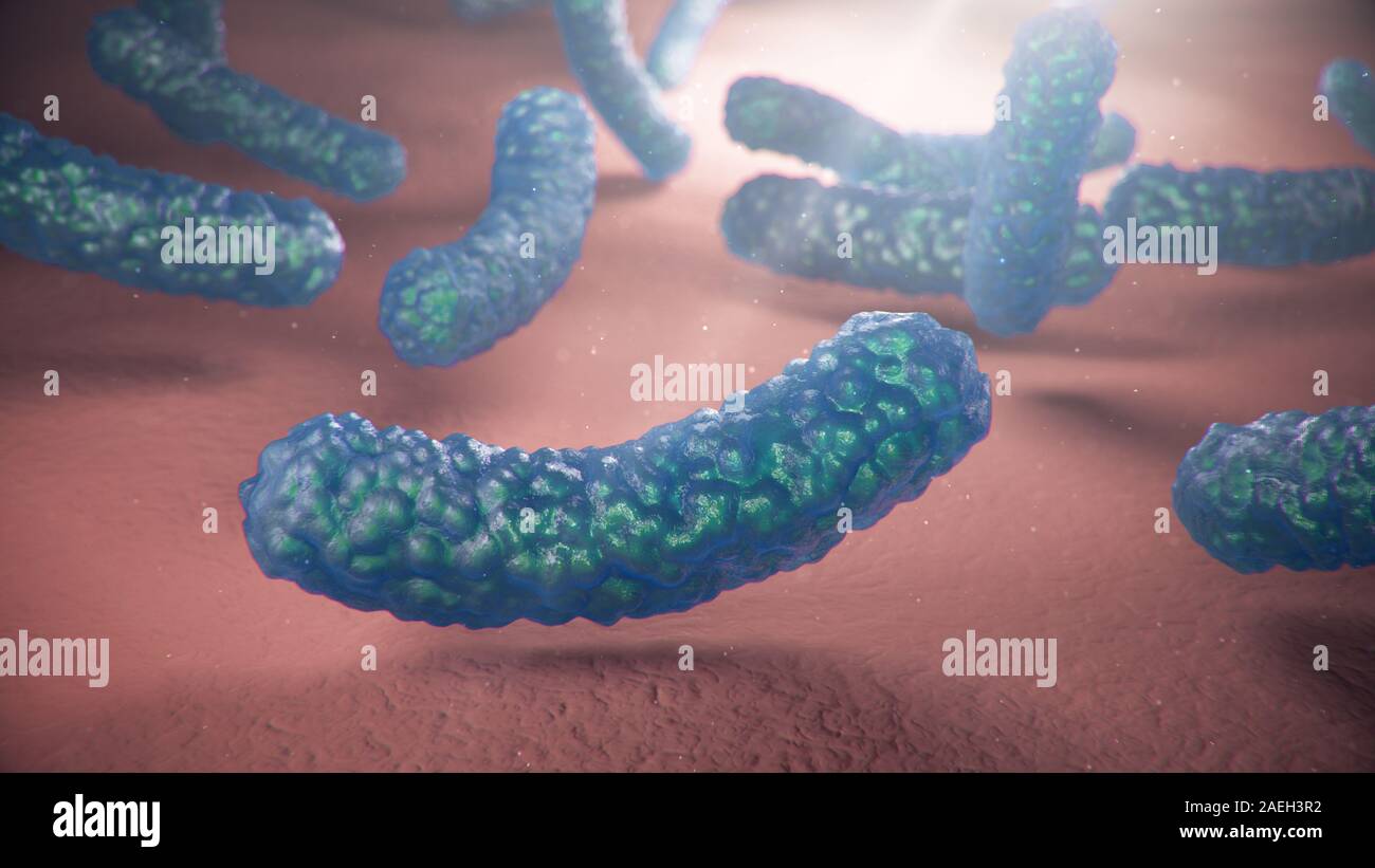 Rabies virus microscope hi-res stock photography and images - Alamy