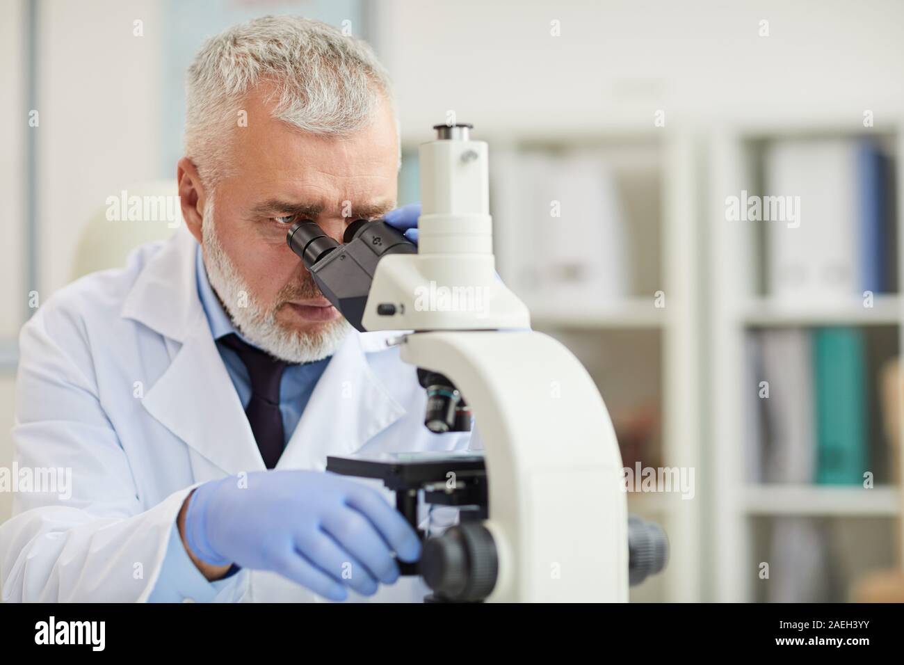 Serious mature scientist with grey hair looking through the microscope ...