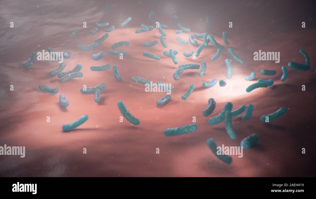 3d illustration viruses causing infectious diseases, decreased immunity ...