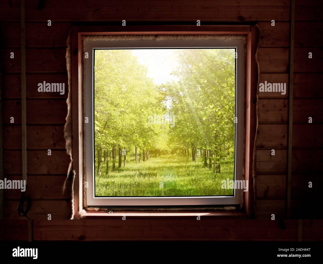 View from the window of a wooden country house on a summer elm alley ...