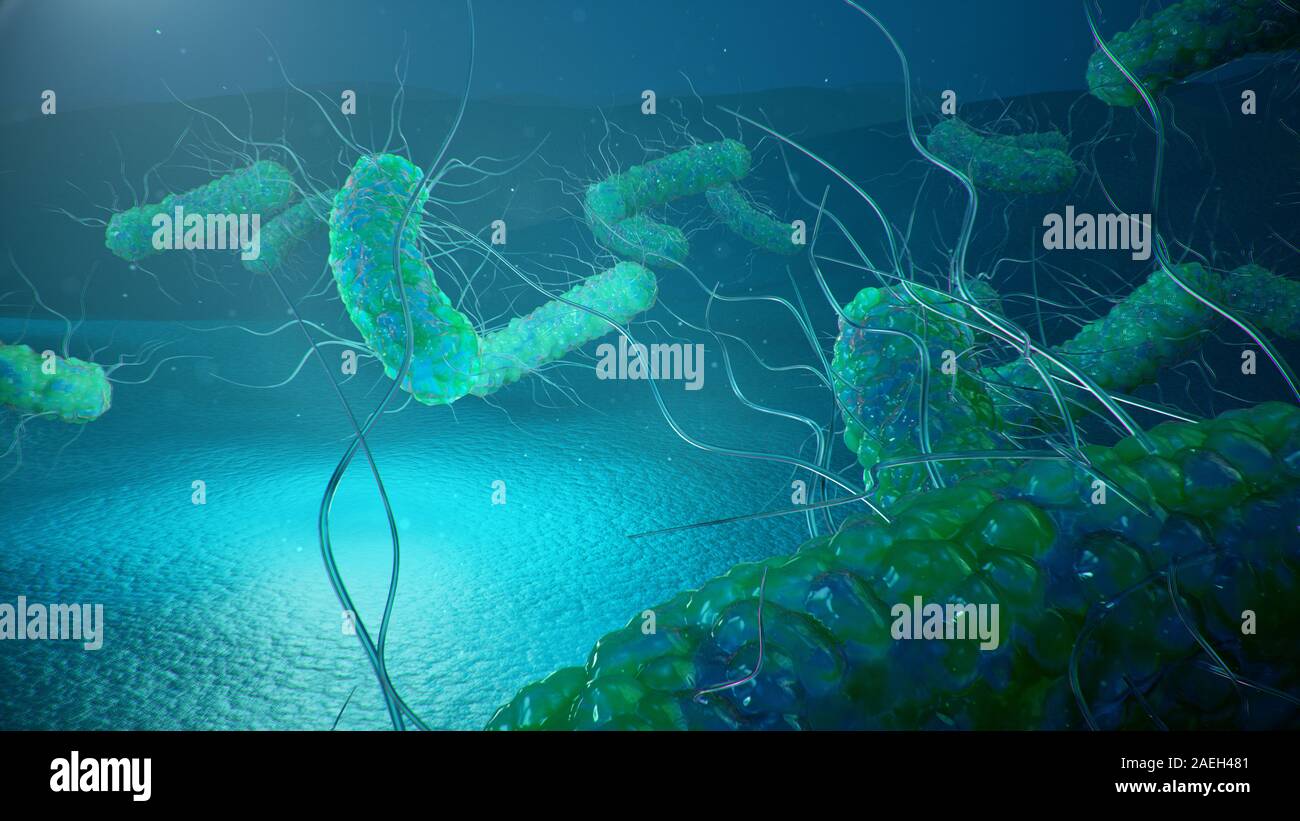 Viruses causing infectious diseases, decreased immunity. Concept of ...
