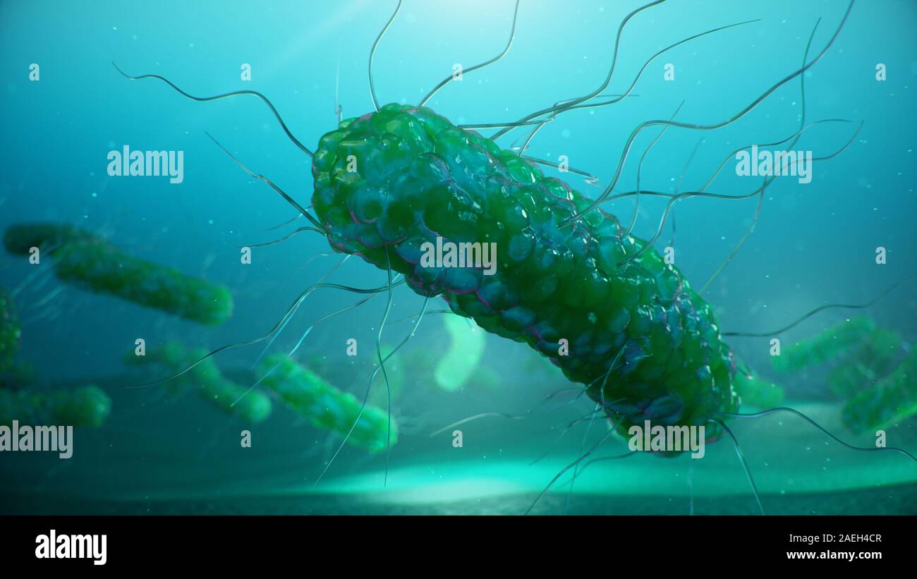 Rabies virus microscope hi-res stock photography and images - Alamy
