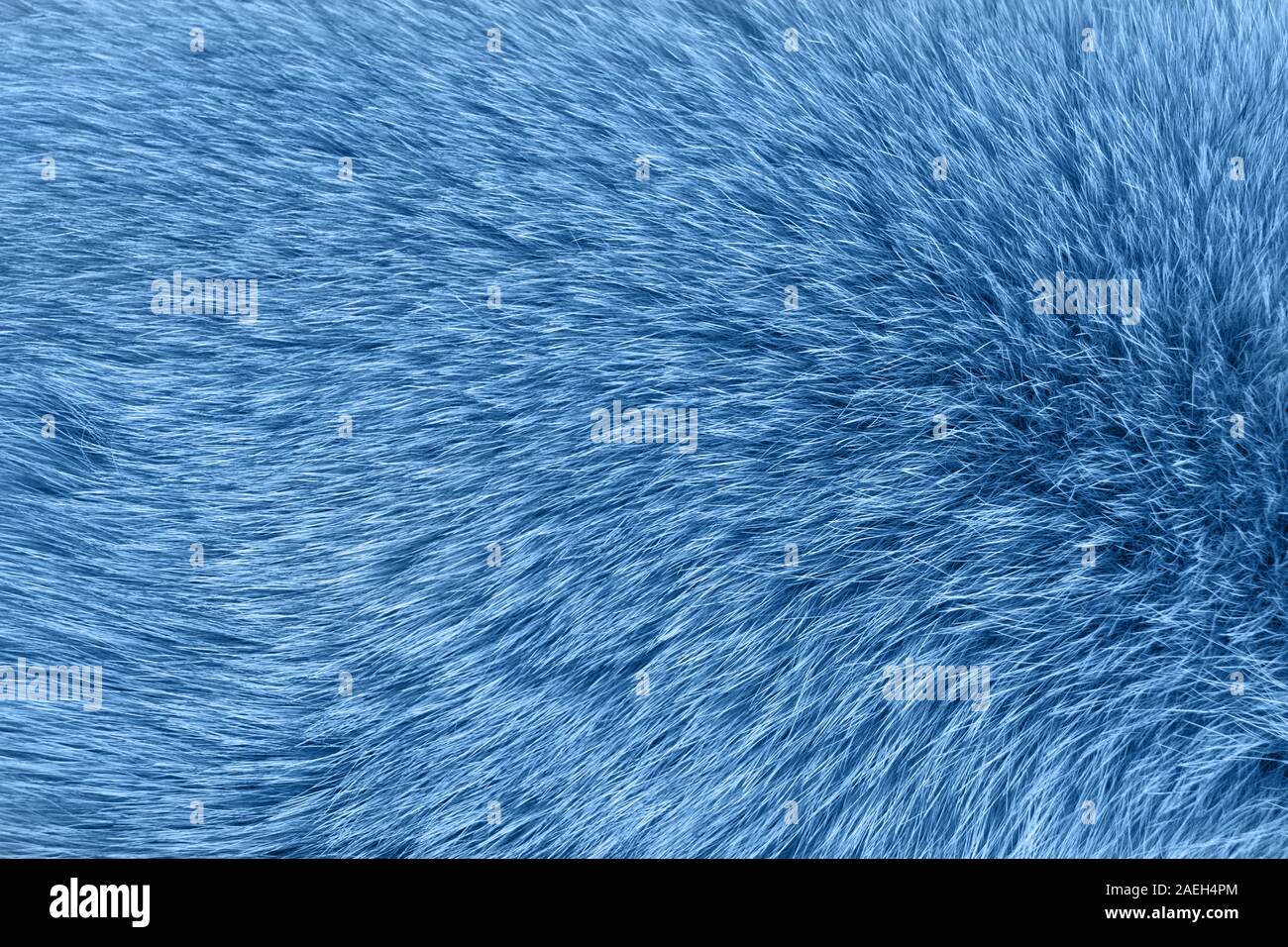 Blue fur background Stock Photo - Alamy