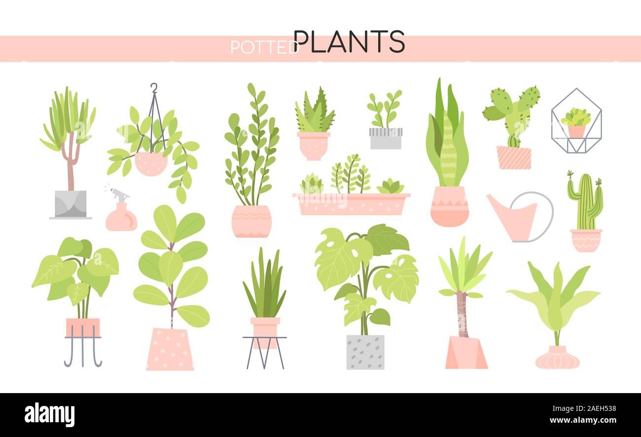 Potted plants sign hi-res stock photography and images - Alamy