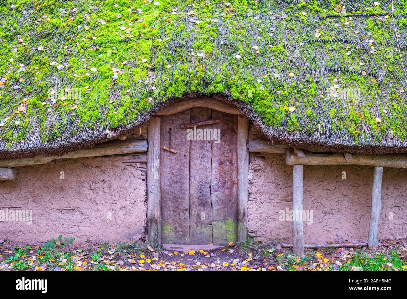 Closed door at a Clay hut with green moss on the thatched roof Stock ...