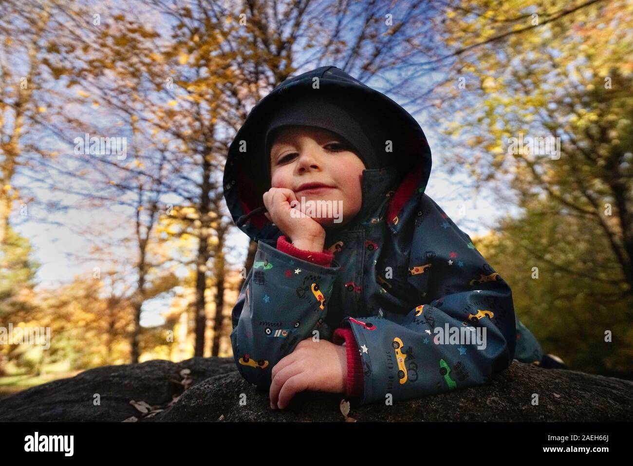Montreal,Quebec,Canada,October 26,2019.Young boy posing for a picture ...