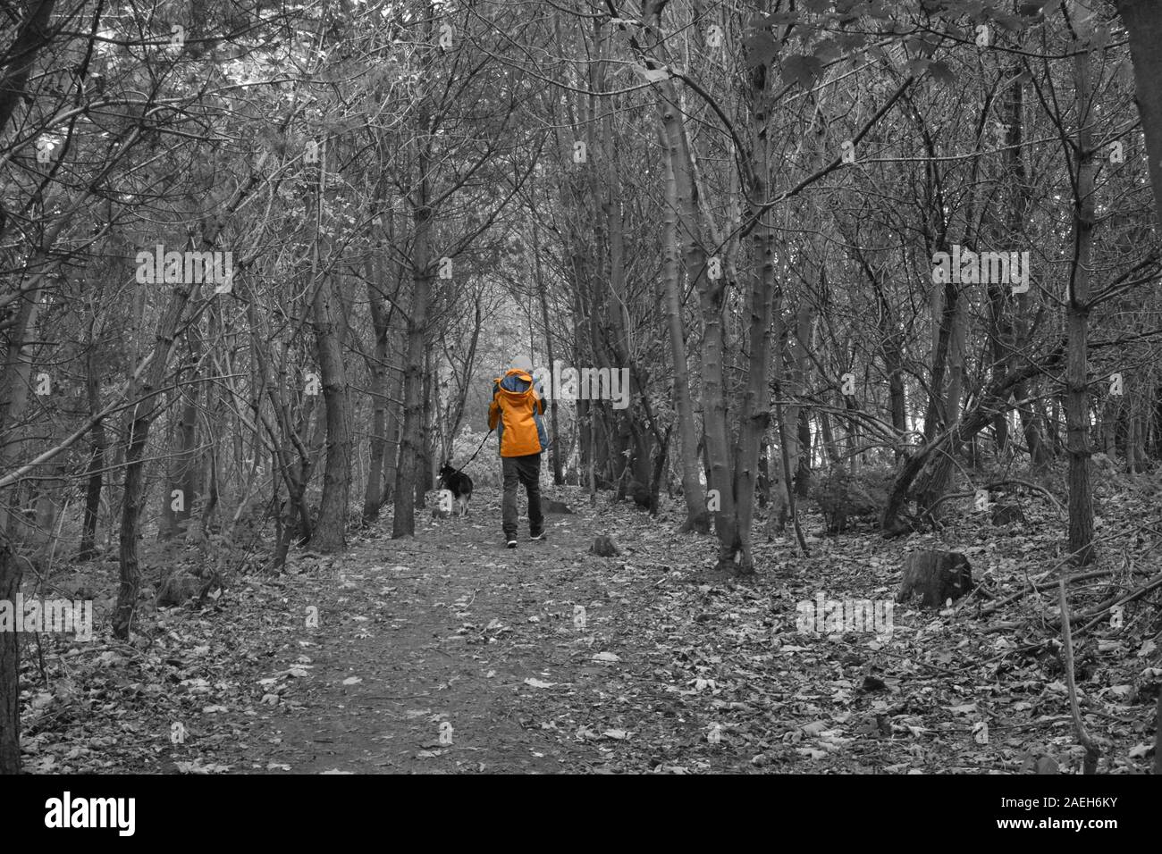 Quiet moment in nature hi-res stock photography and images - Alamy