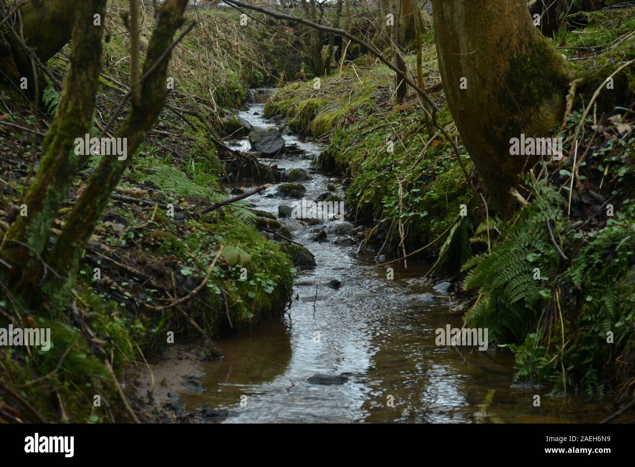 Leven creek hi-res stock photography and images - Alamy