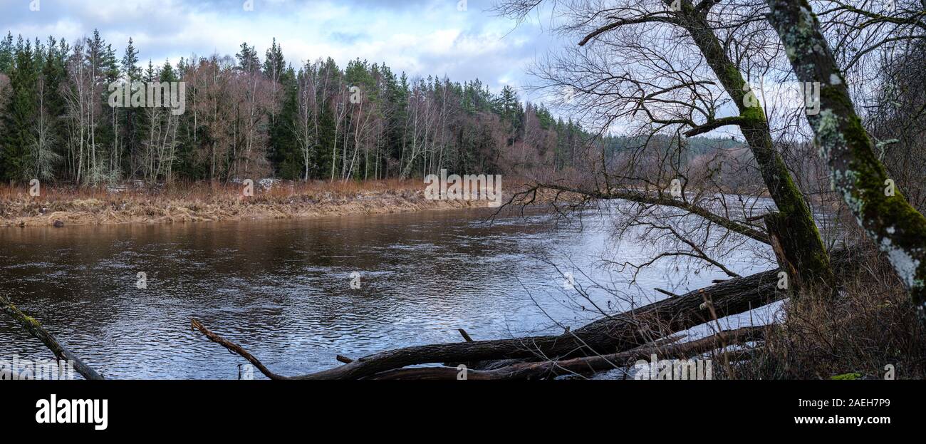 half frozen river in late autumn with trees with no leaves. partial ice ...