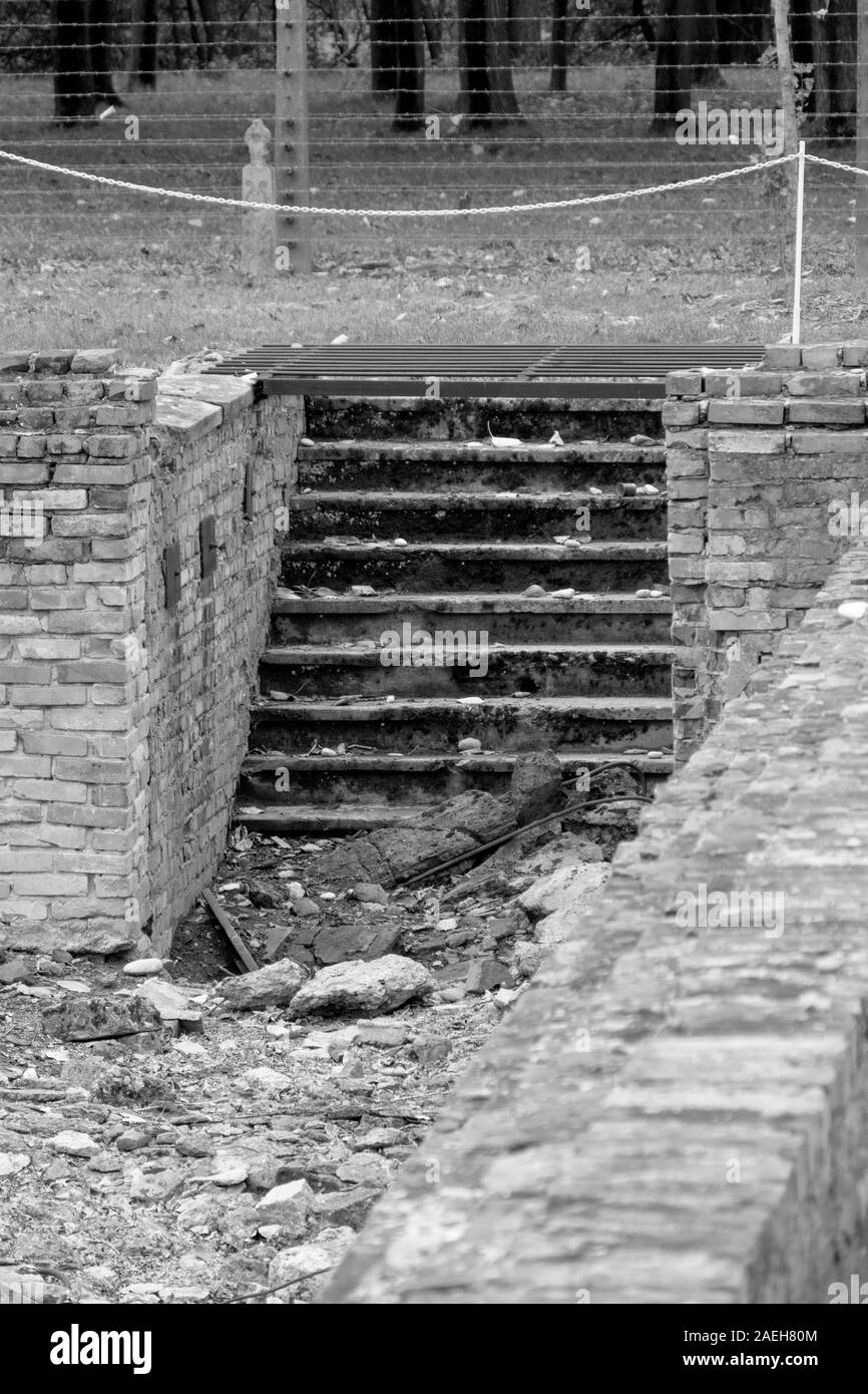 The incinerators of crematorium II and Gas Chambers at Auschwitz II ...