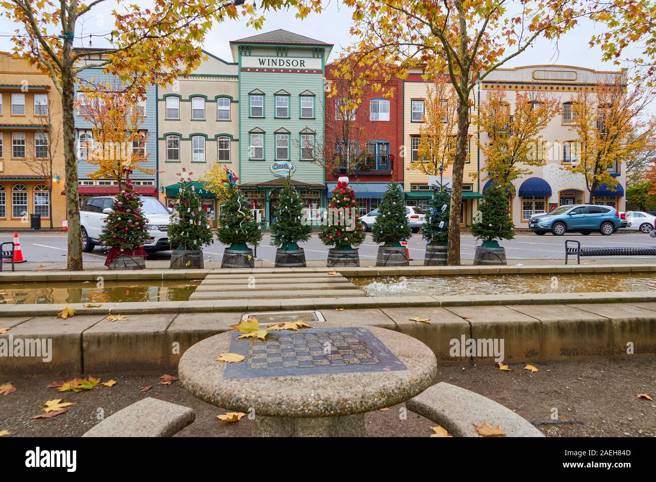 Festive decorated Christmas trees and colorful store-front apartment ...