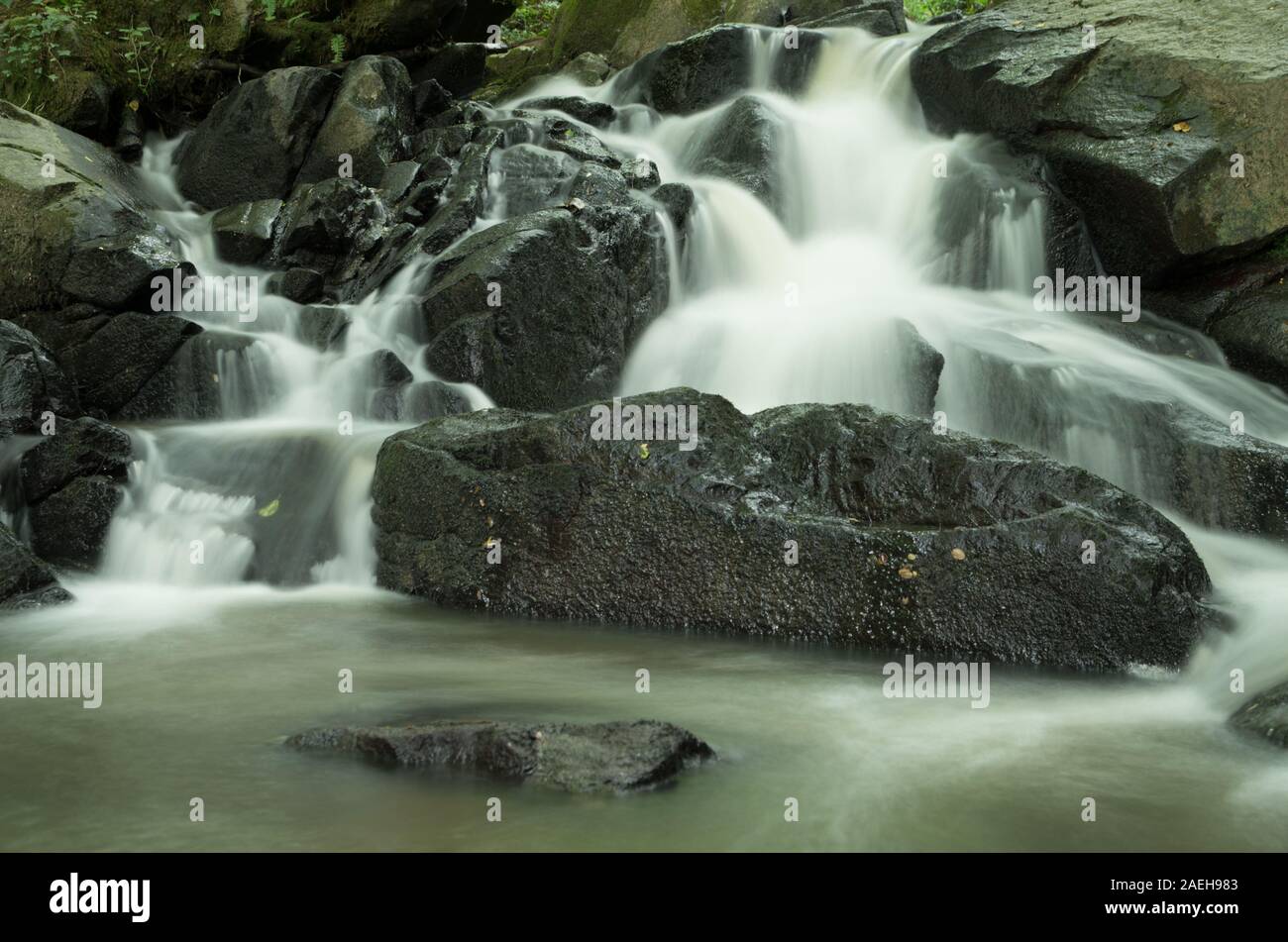 water stream slows down in the forest 2 Stock Photo - Alamy