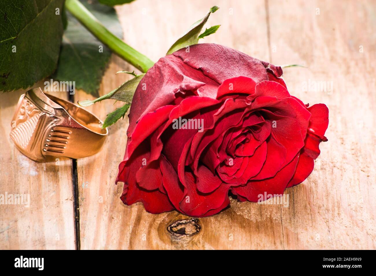 Engagement ring and red rose on wooden background, valentines card or ...