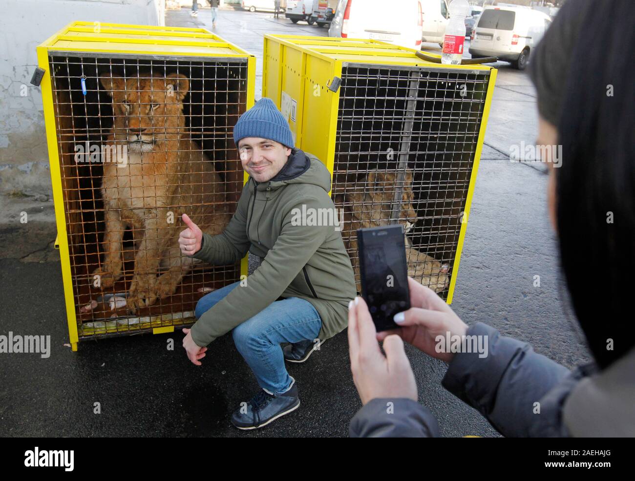 Man zoo lion hi-res stock photography and images - Alamy