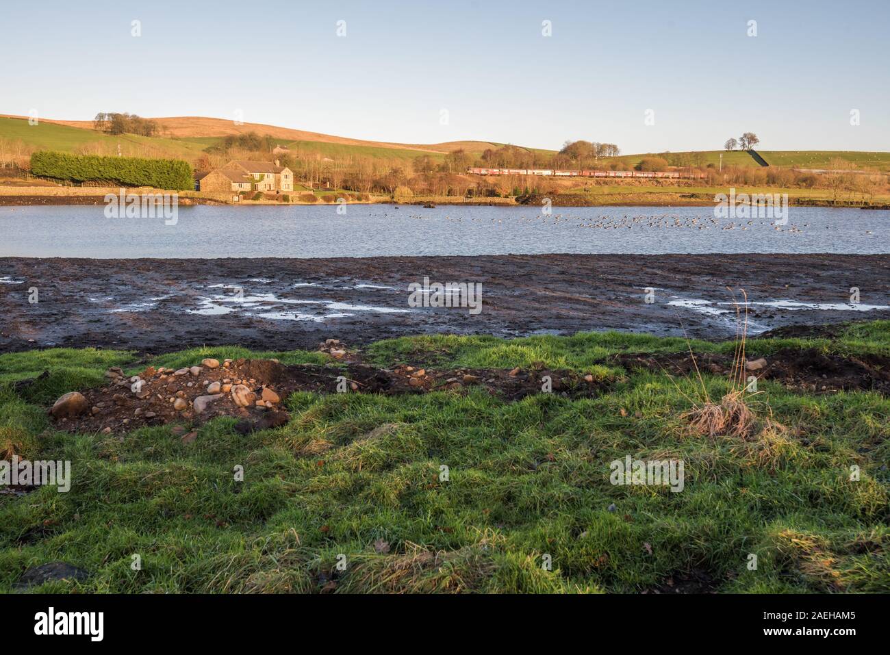 Gallaber Pond, Hellifield Flashes Stock Photo - Alamy