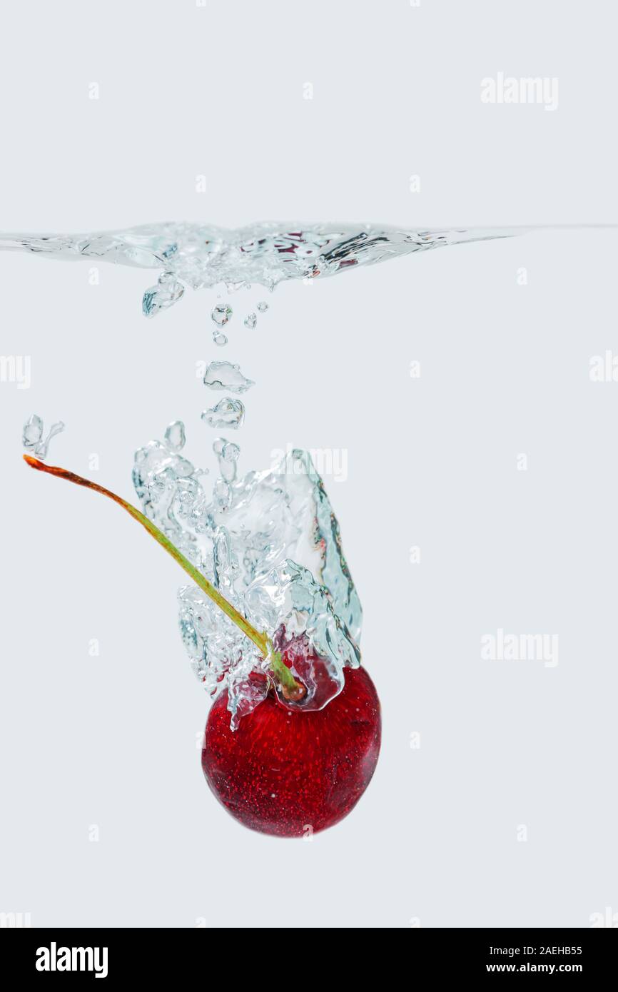 Studio shot of a bird cherry falling in the water (Latin: prunus avium ...