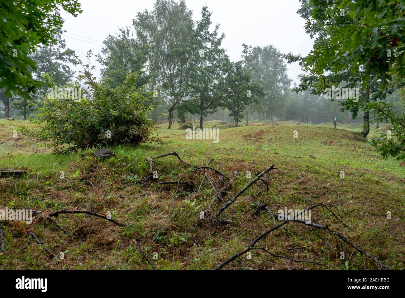 little hills are remains of ancient graves Stock Photo - Alamy