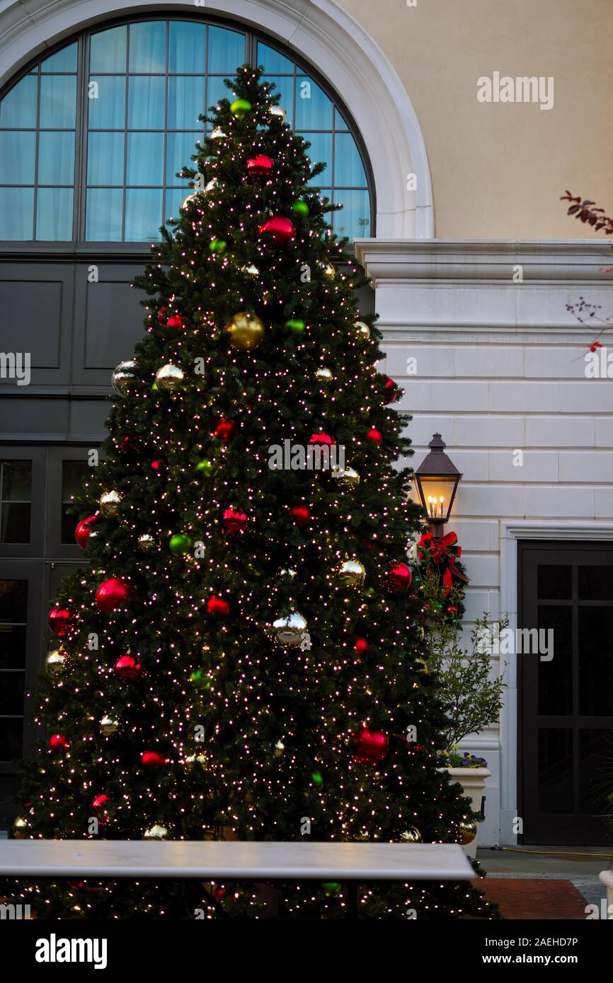 Public christmas tree hi-res stock photography and images - Alamy