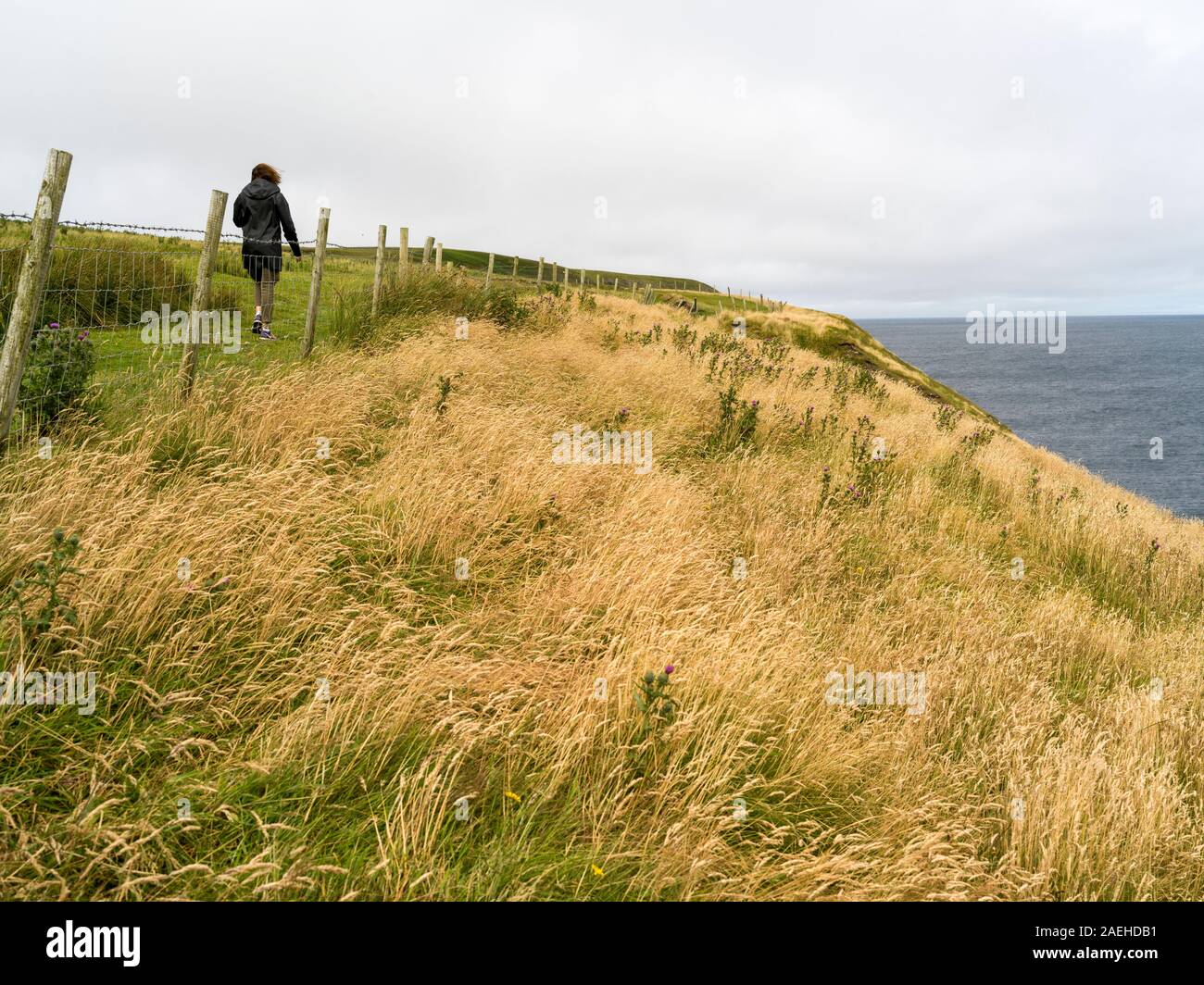 Woman hiking on trail, Erris Head Loop Walk, Belmullet, County Mayo ...