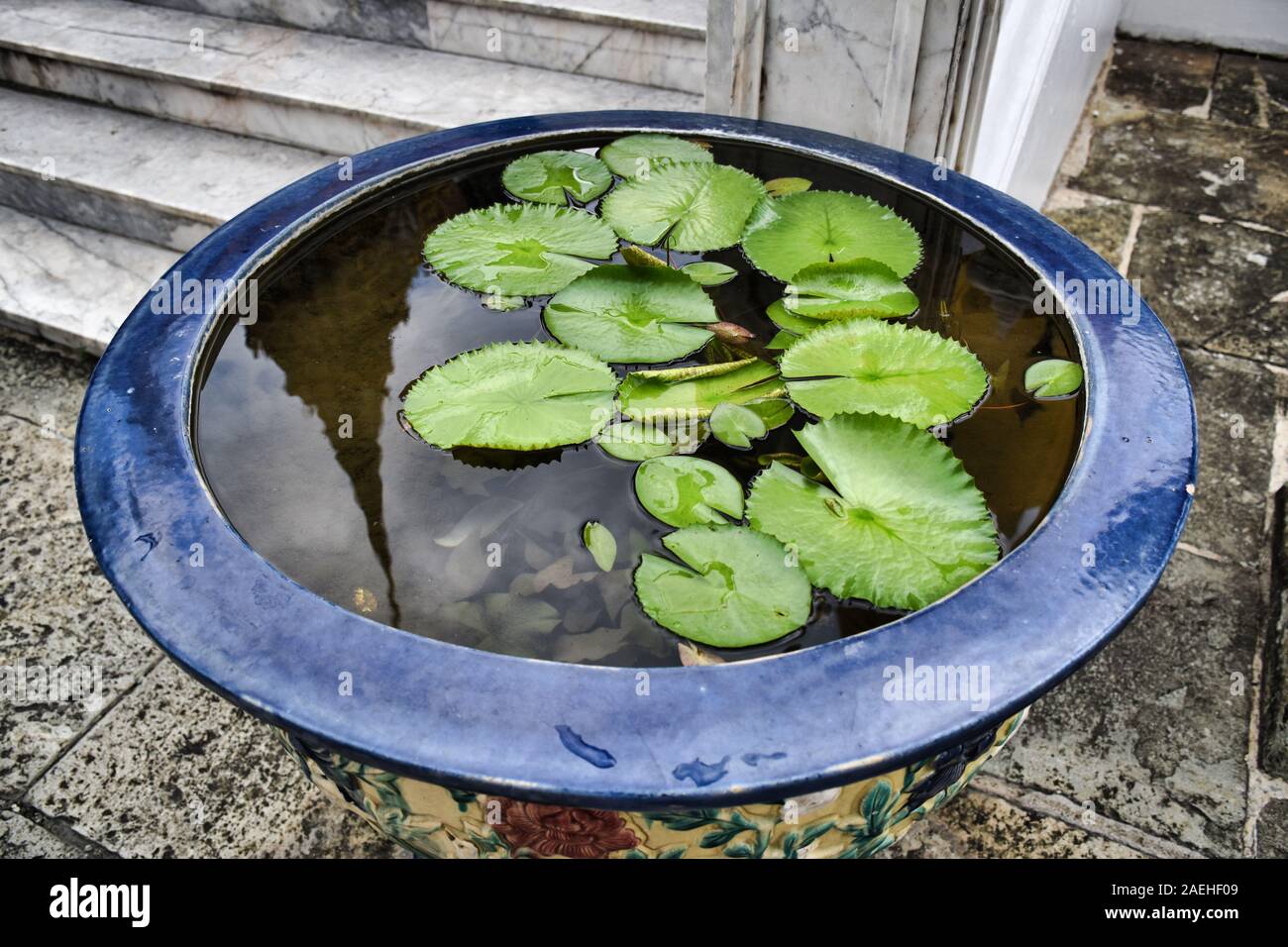 Pad thai thailand leaf hi-res stock photography and images - Alamy