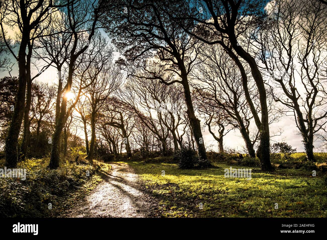 Fir hill manor hi-res stock photography and images - Alamy