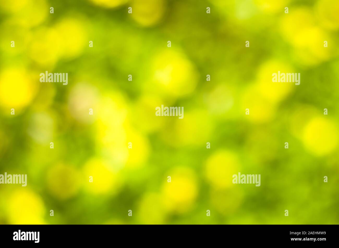 Out of focus spring background with blurred yellow flowers Stock Photo ...