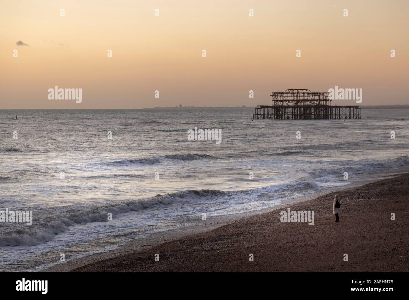 Shell on brighton beach hi-res stock photography and images - Alamy