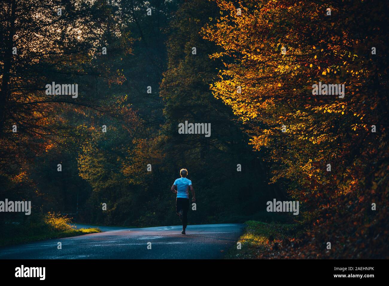 Training landscape hi-res stock photography and images - Alamy