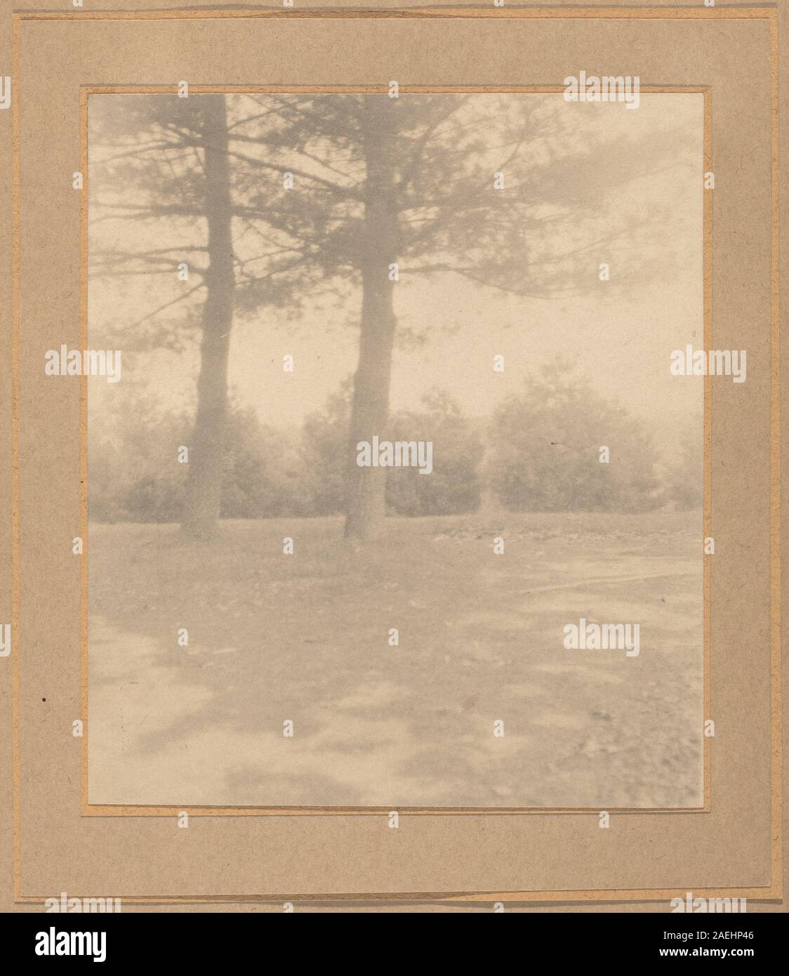 Joseph T Keiley, Landscape with trees, c 1900 Landscape with trees ...