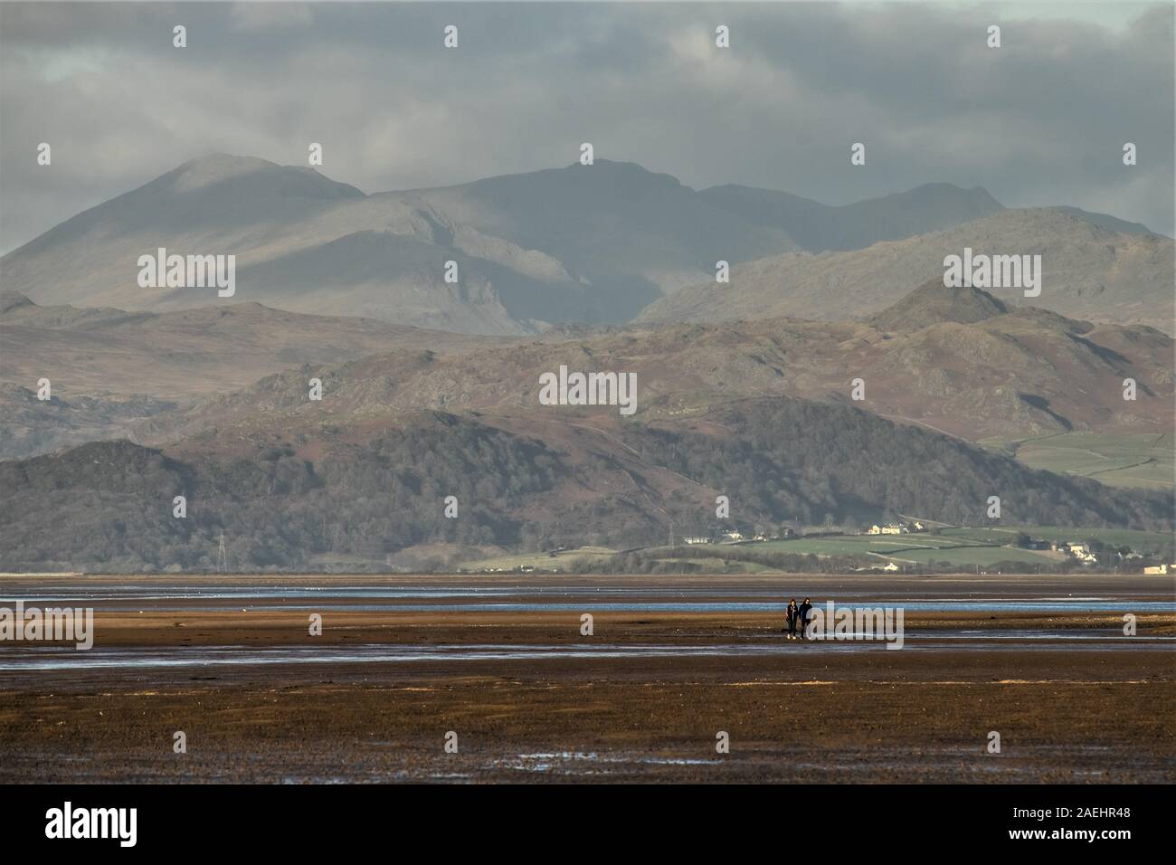 UK Sandscale Haws National Nature Reserve, Roanhead, Cumbria, uk Stock ...