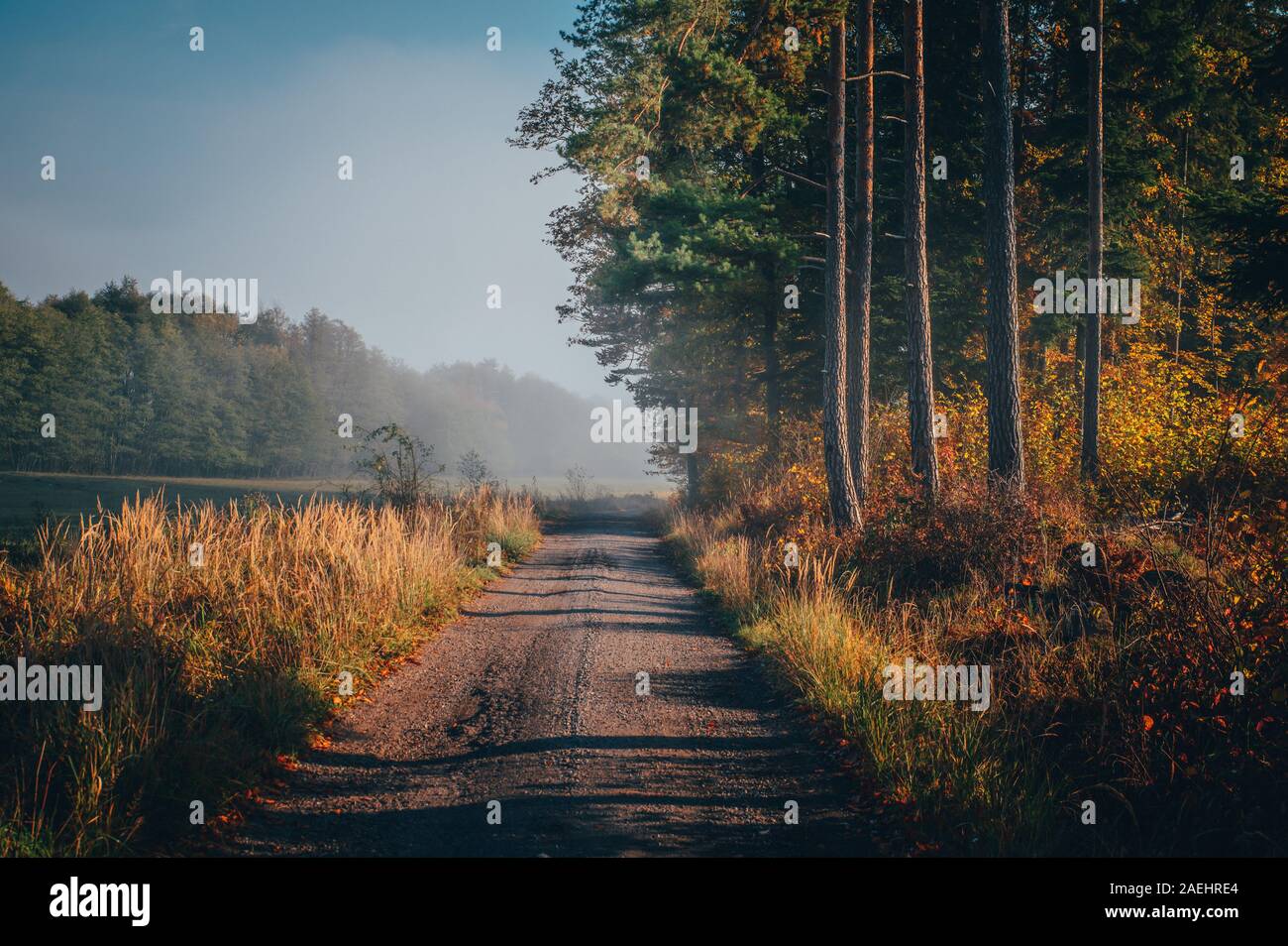 Colorful wood scenery hi-res stock photography and images - Alamy