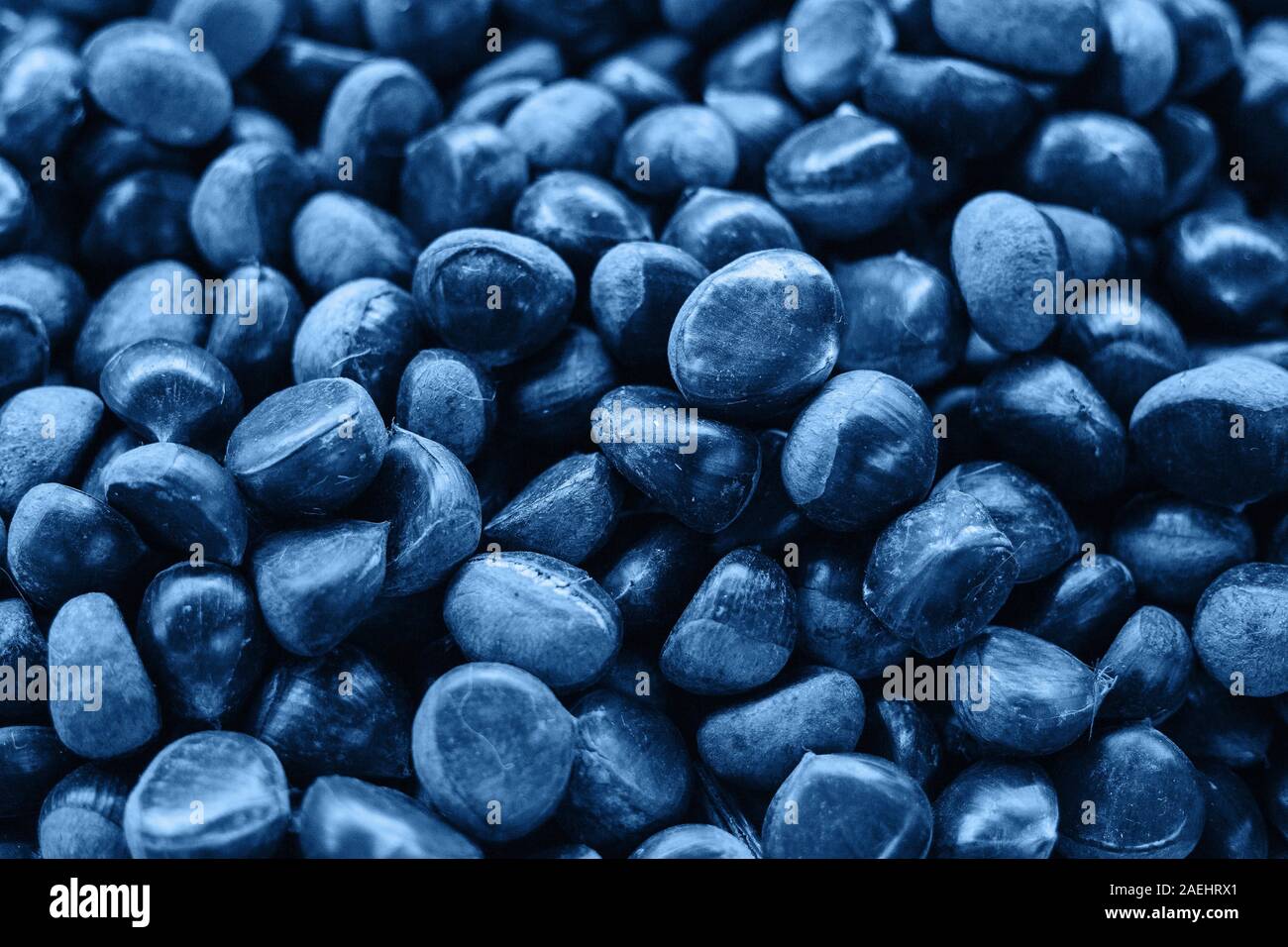 Chestnut grains background in trendy classic blue color Stock Photo - Alamy