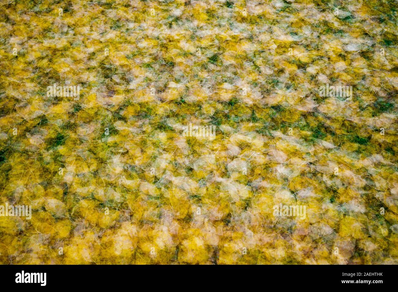 Fall Leaves Psychedelic Multiple Exposure Stock Photo - Alamy