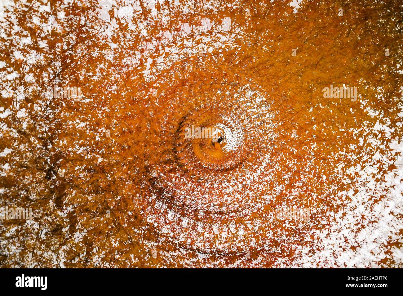 Fall Leaves Psychedelic Multiple Exposure Stock Photo - Alamy