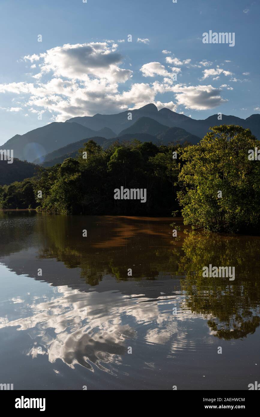 Beautiful landscape of atlantic rainforest mountains and wild lake ...