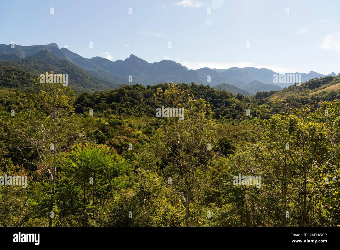 Beautiful landscape of atlantic rainforest mountains and wild lake ...