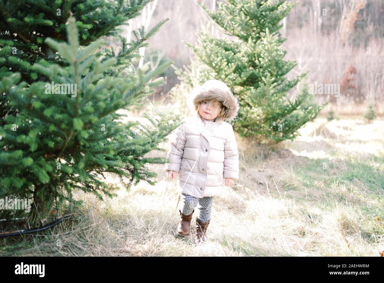 Kids see saw hi-res stock photography and images - Alamy