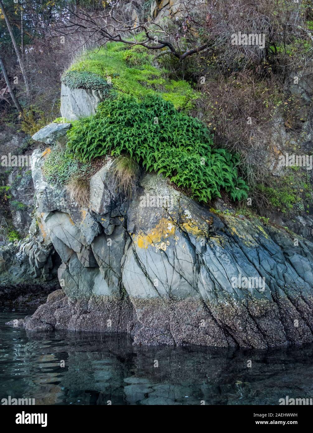 Rocky Outcrop Water High Resolution Stock Photography and Images - Alamy