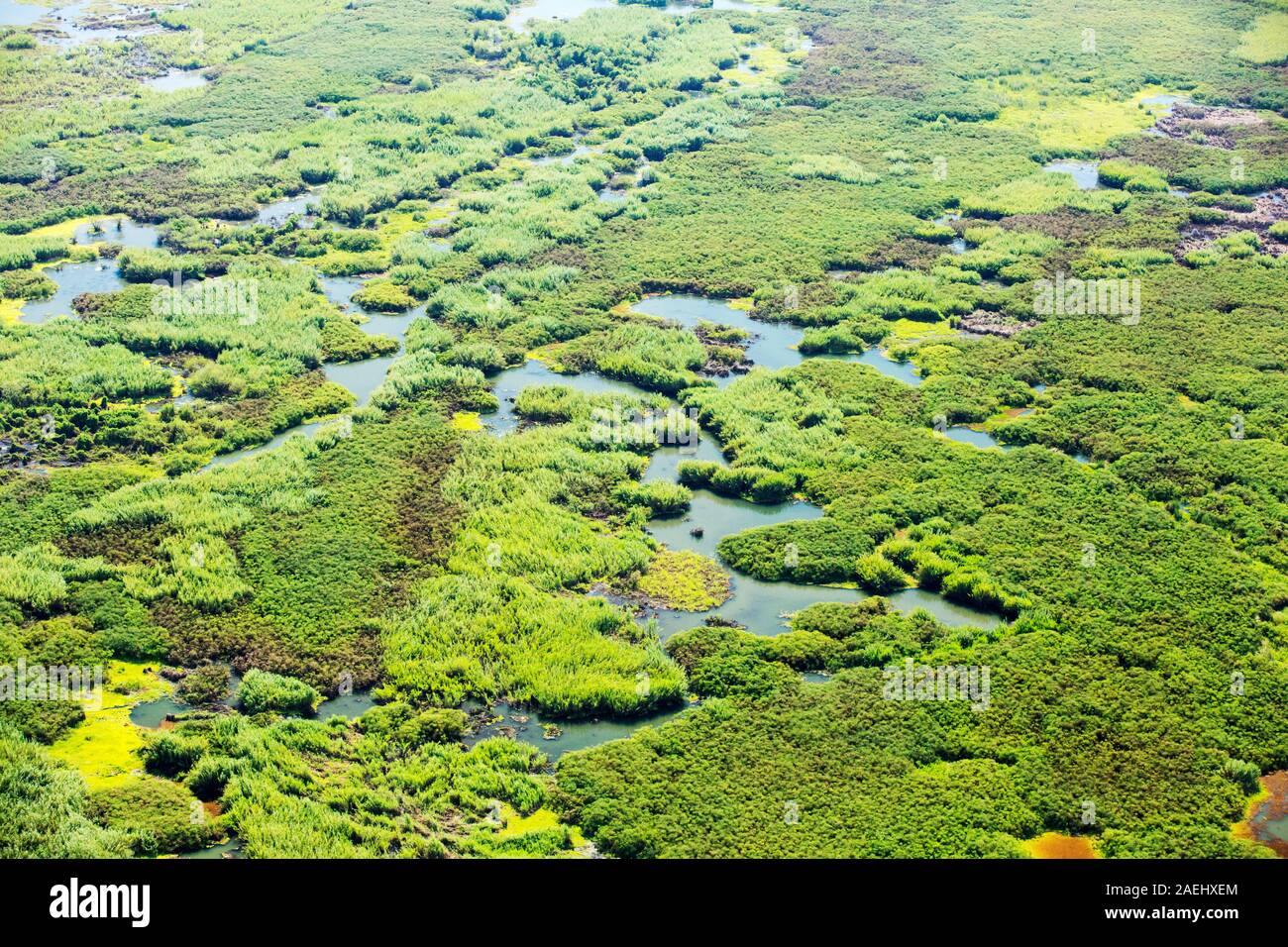 Looking down from the air onto the Elephant Marsh, a huge area of ...