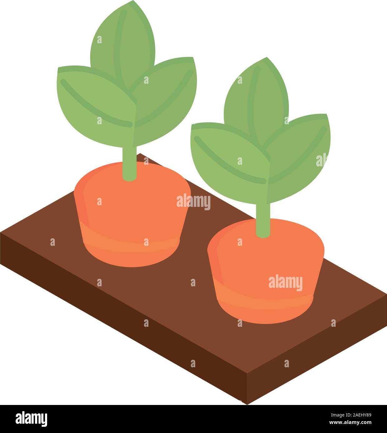 farm planting carrots agriculture isometric icon vector illustration ...