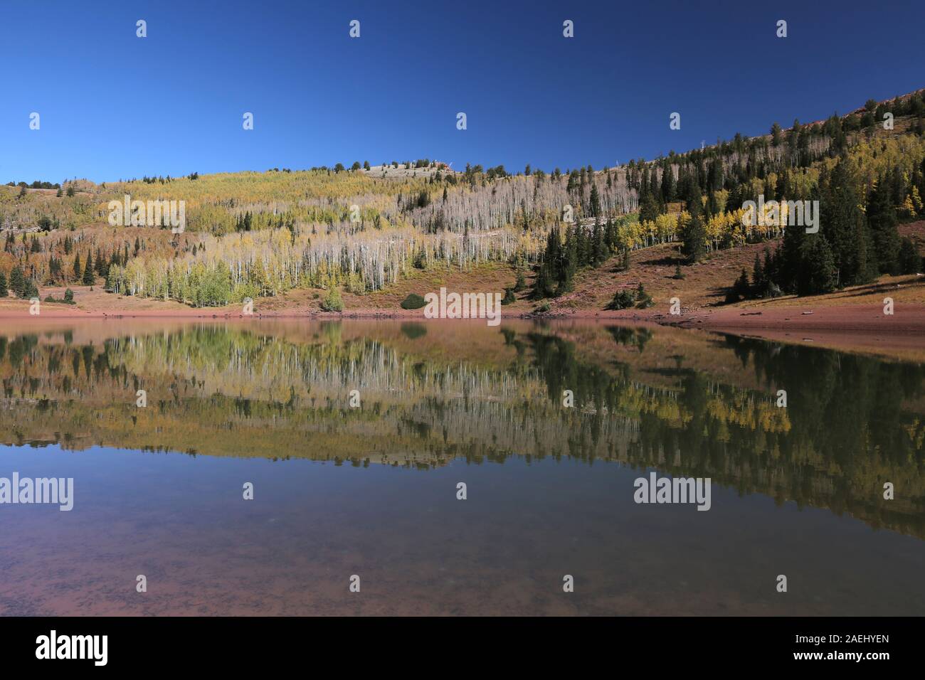 Desolation canyon trail hi-res stock photography and images - Alamy