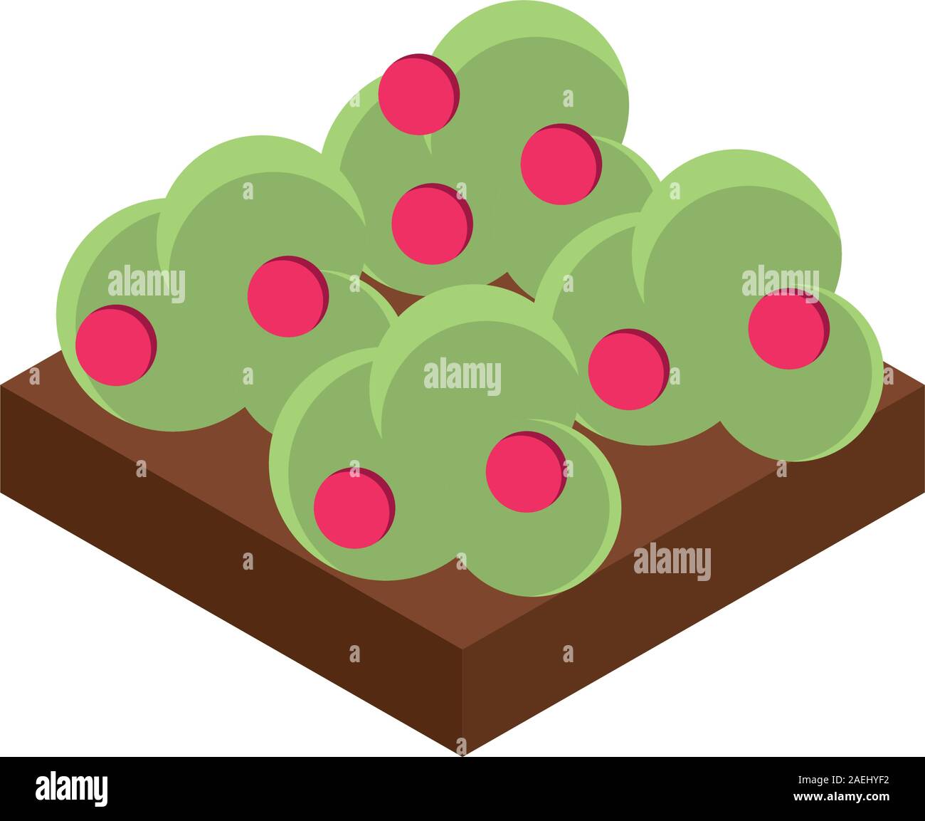 farm olive harvest agriculture isometric icon vector illustration Stock ...