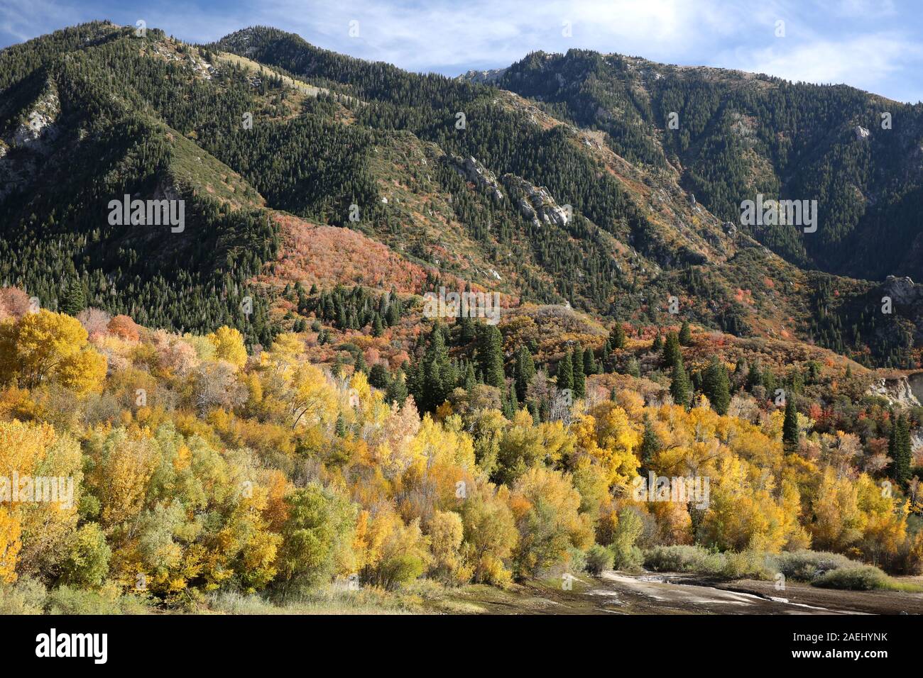 Bells Canyon in Fall, Utah Stock Photo - Alamy