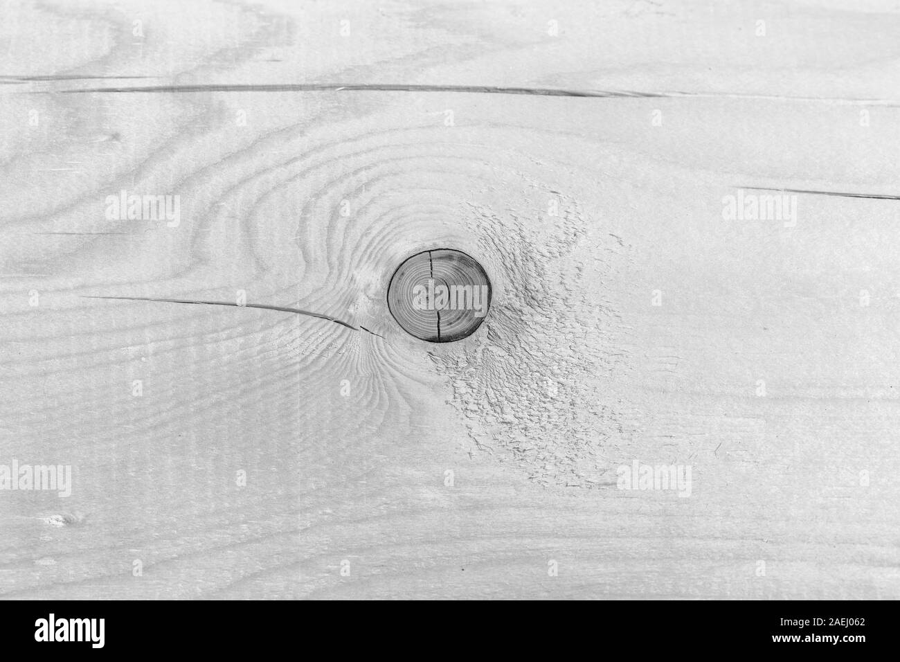 White wooden log as a background texture for design. Monochrome Stock ...