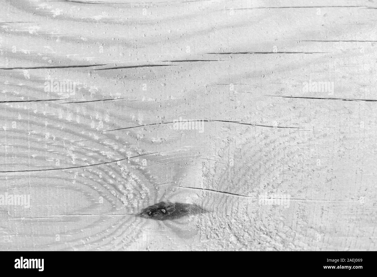 White wooden log as a background texture for design. Monochrome Stock ...
