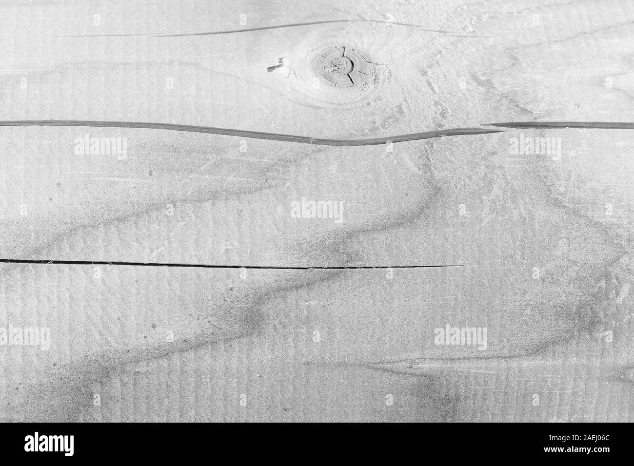 White wooden log as a background texture for design. Monochrome Stock ...