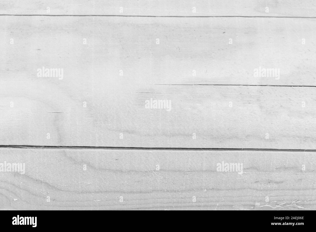 White wooden log as a background texture for design. Monochrome Stock ...