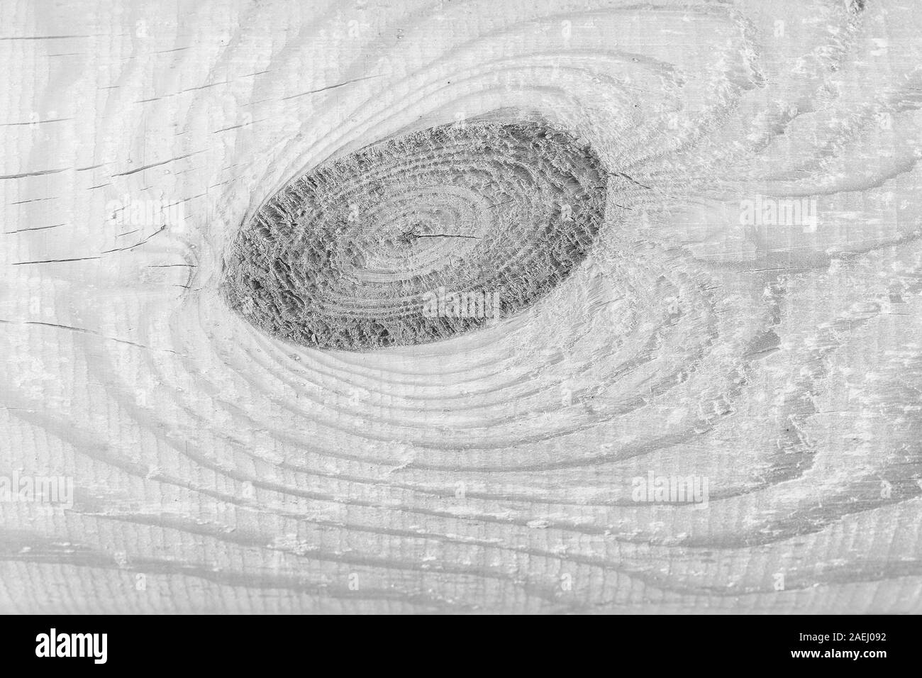 White wooden log as a background texture for design. Monochrome Stock ...