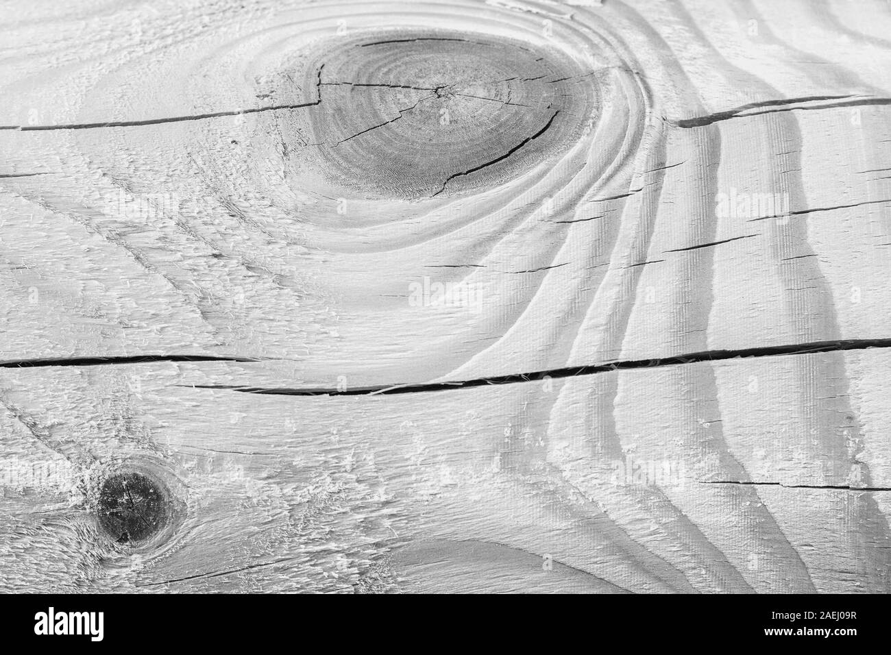 White wooden log as a background texture for design. Monochrome Stock ...