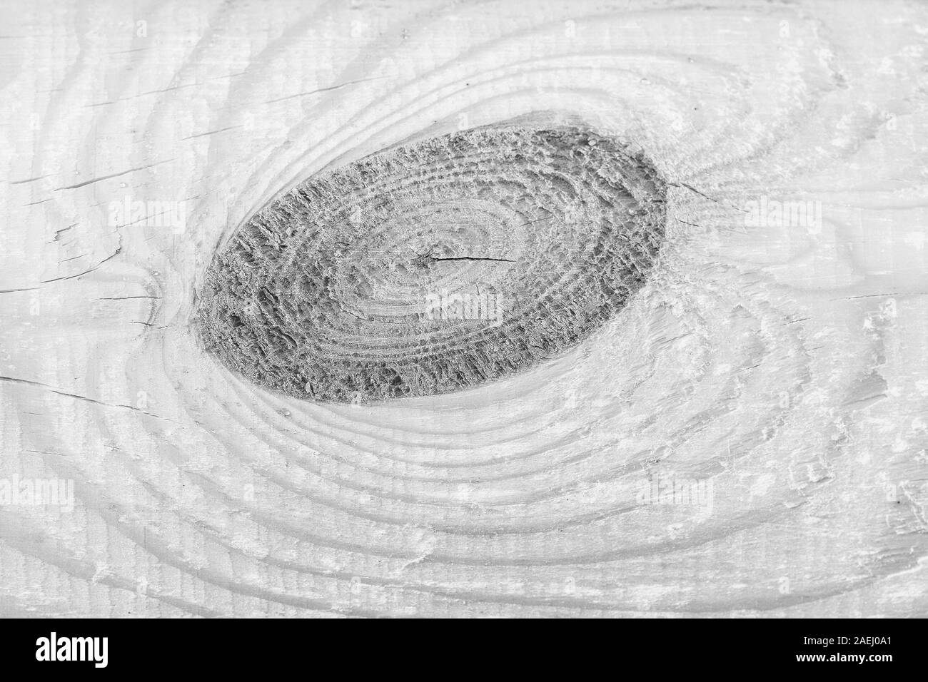 White wooden log as a background texture for design. Monochrome Stock ...